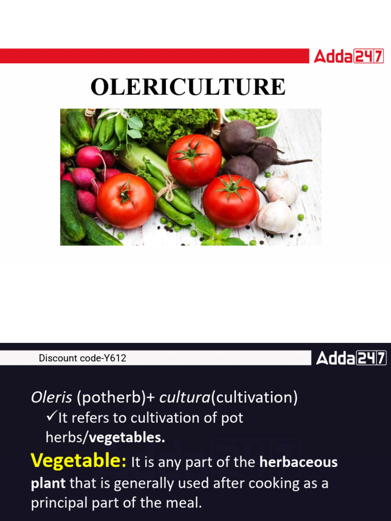 Olericulture | PDF