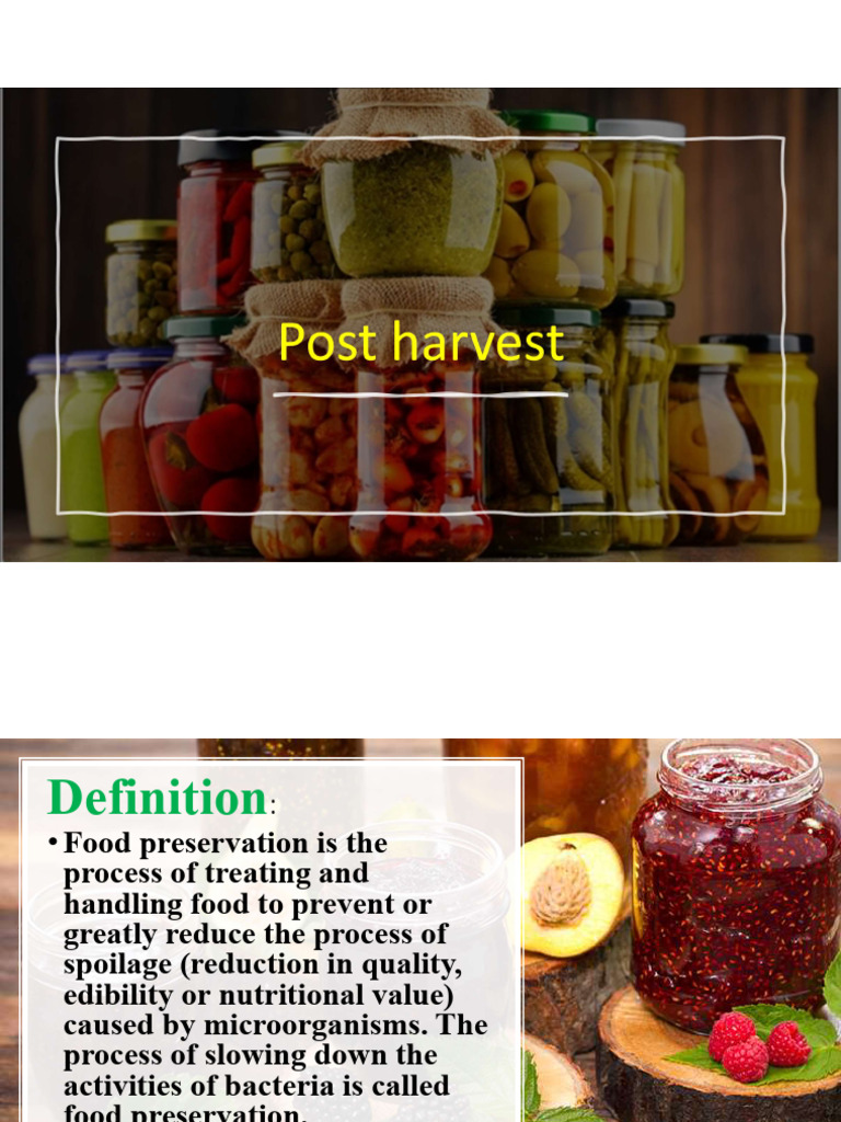 Post Harvest | PDF