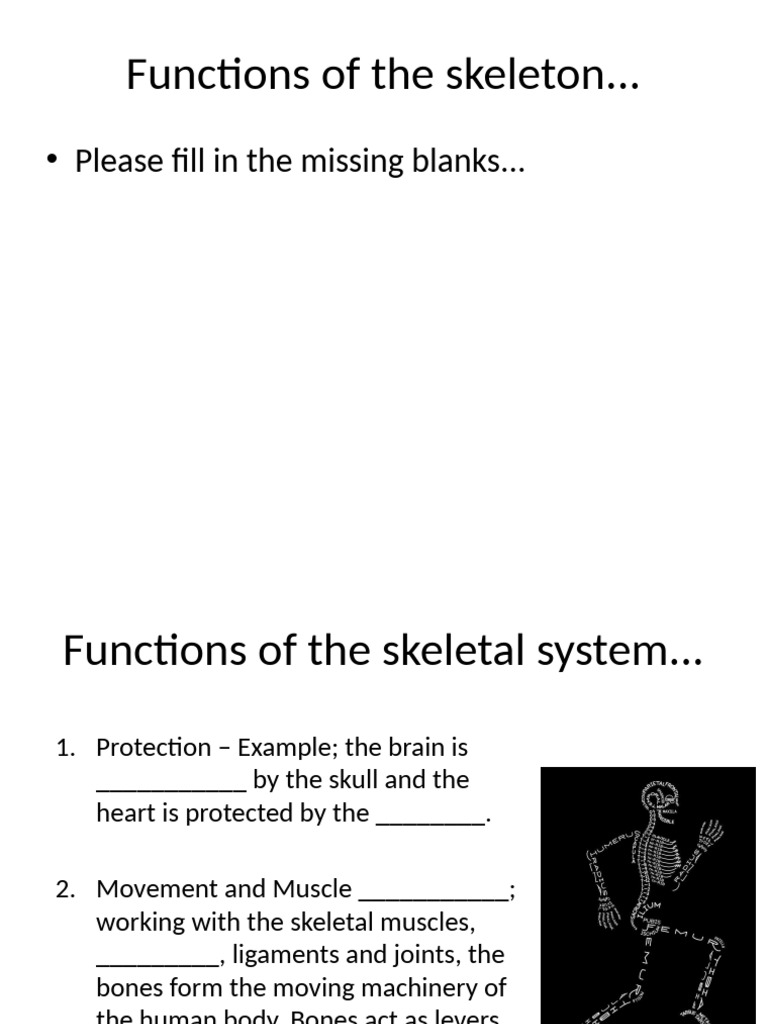 Functions of The Skeleton STUDENT HANDOUT | PDF