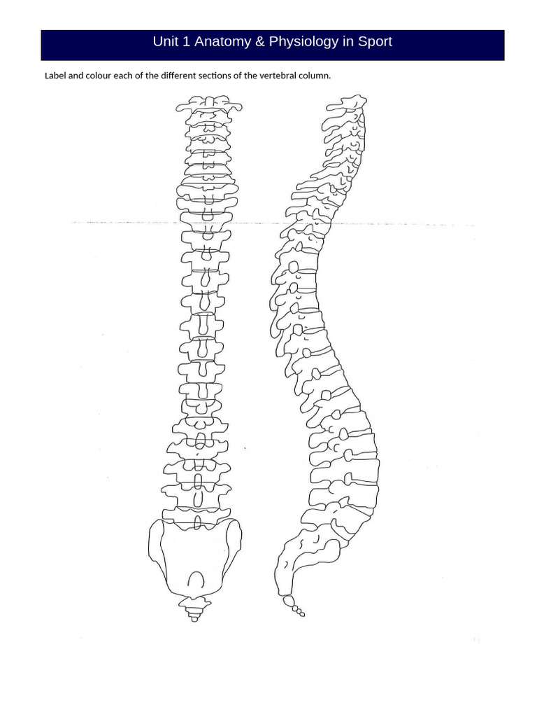 Colour and Label Spine | PDF