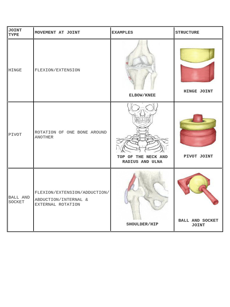Joint Types and Examples | PDF
