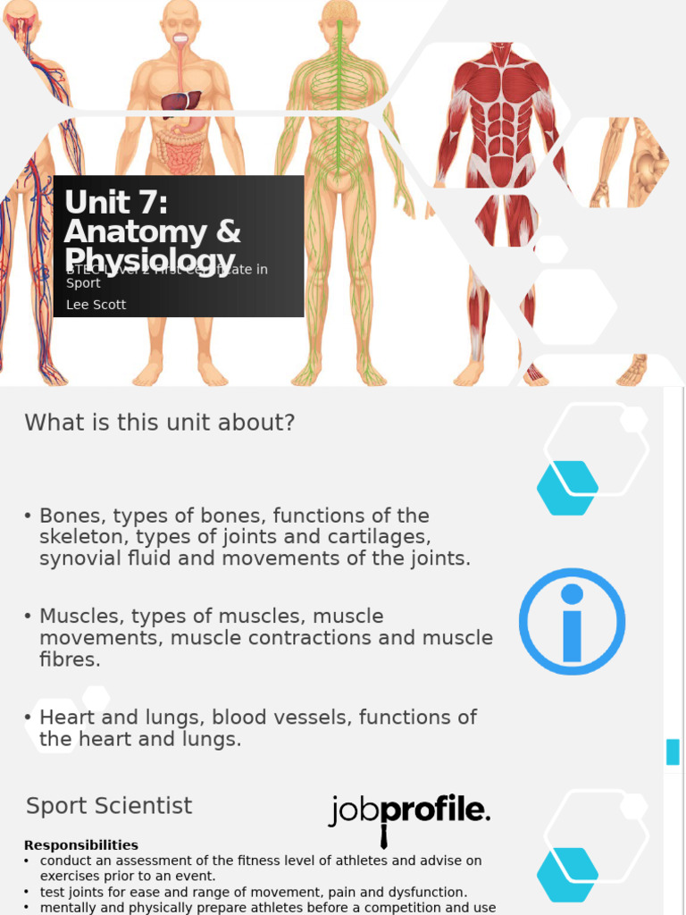Unit 7 Anatomy Physiology | PDF