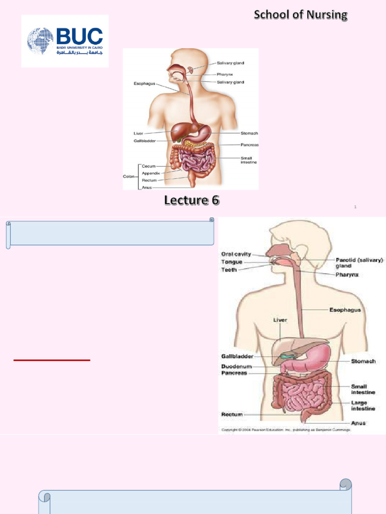 9 - Lecture 8 GIT | PDF