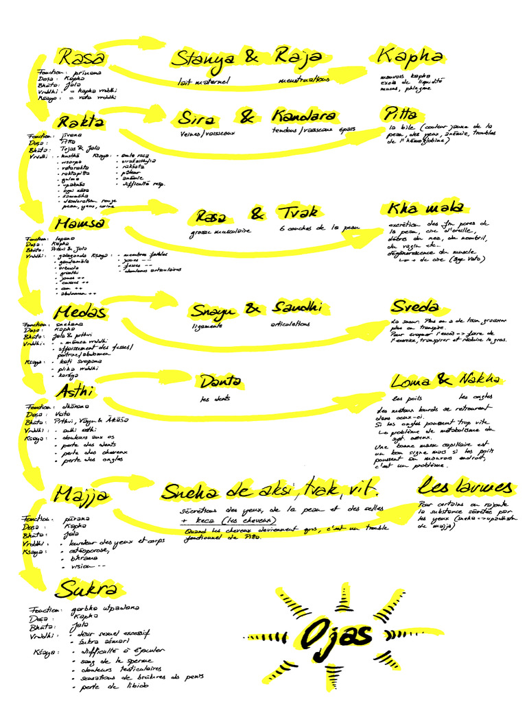 Tableau Dhatu Mala Upadhatu Dhatumala | PDF