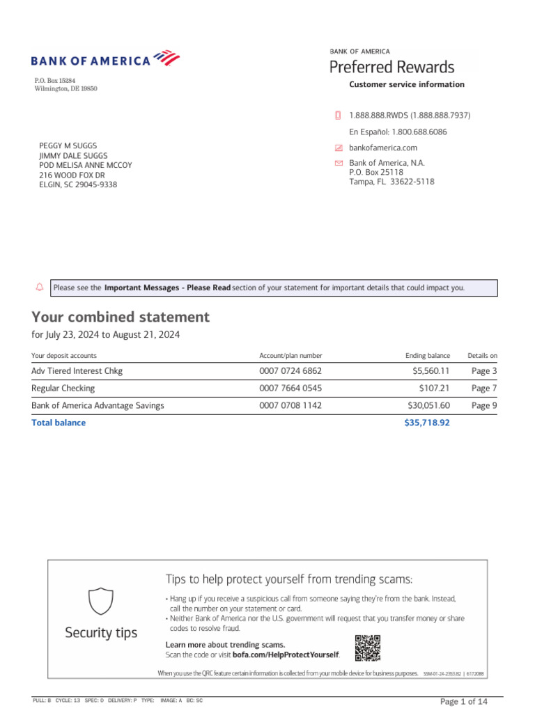 Bank of America Statement Peggy Suggs | PDF