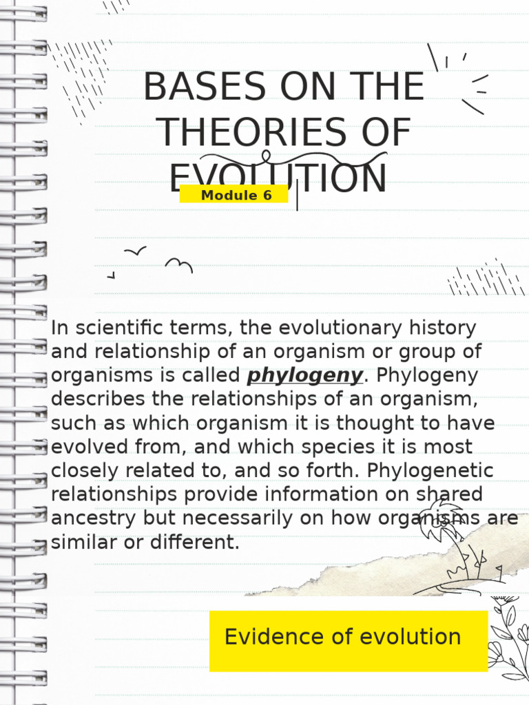 q1 Module 6 Bases On The Theories of Evolution | PDF