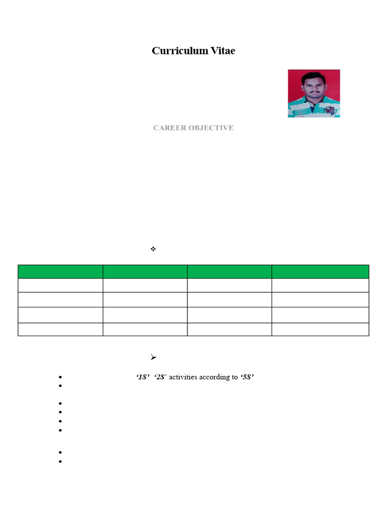 PDF CV File 1 | PDF
