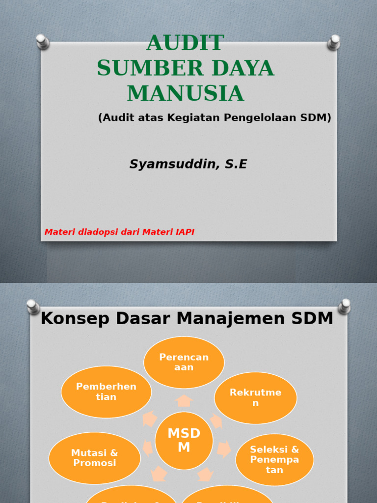 Audit SDM Syam | PDF