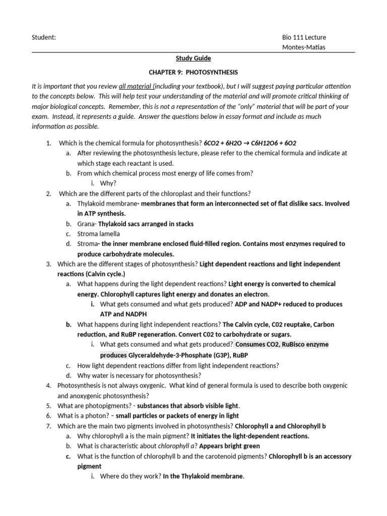 CH 9 Study Guide - Photosynthesis 2 | PDF