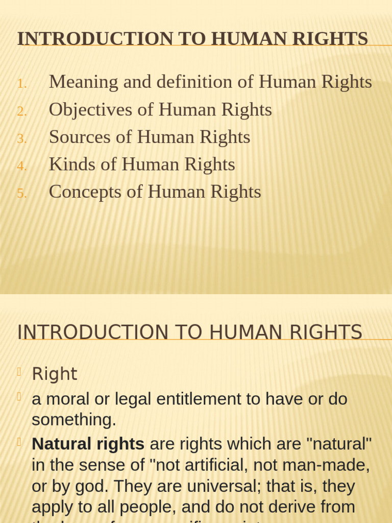 Introduction to Human Rights | PDF