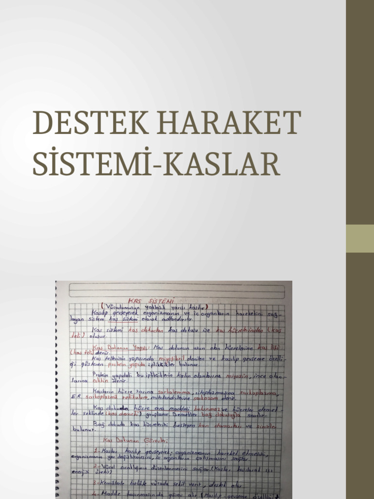 Destek Haraket Si̇stemi̇-Kaslar | PDF