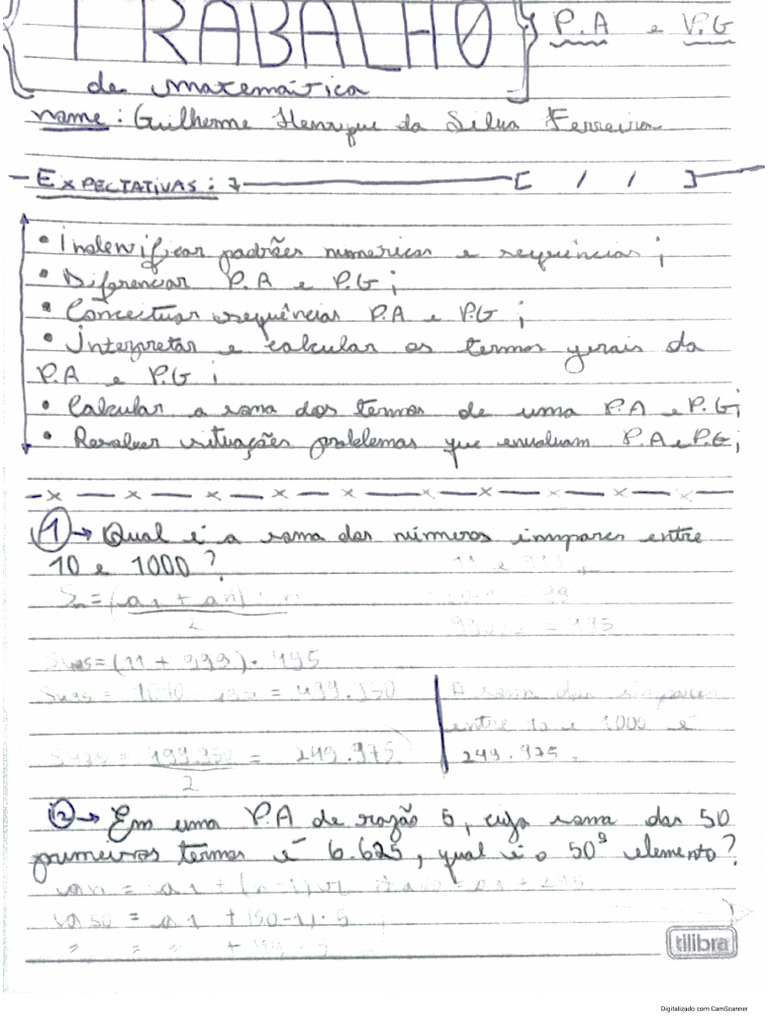Trabalho Matemática 2 PA&PG | PDF