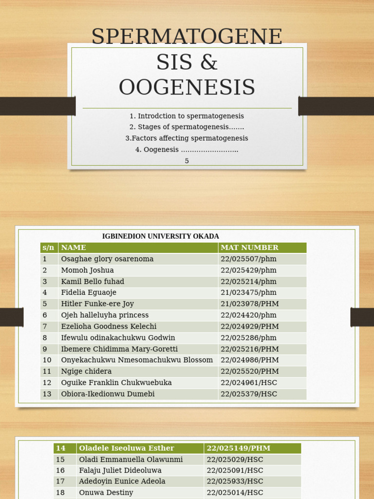 Spermatogenesis & Oogenesis | PDF