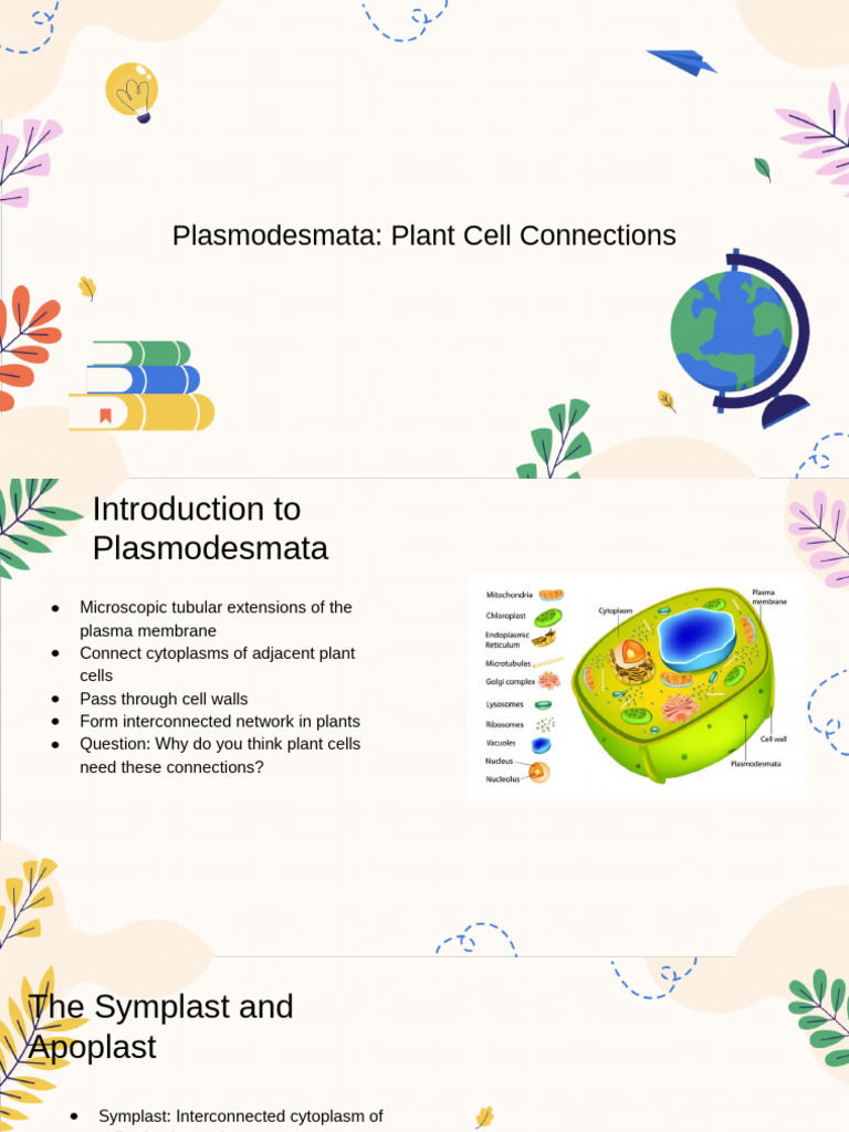 Plasmodesmata | PDF