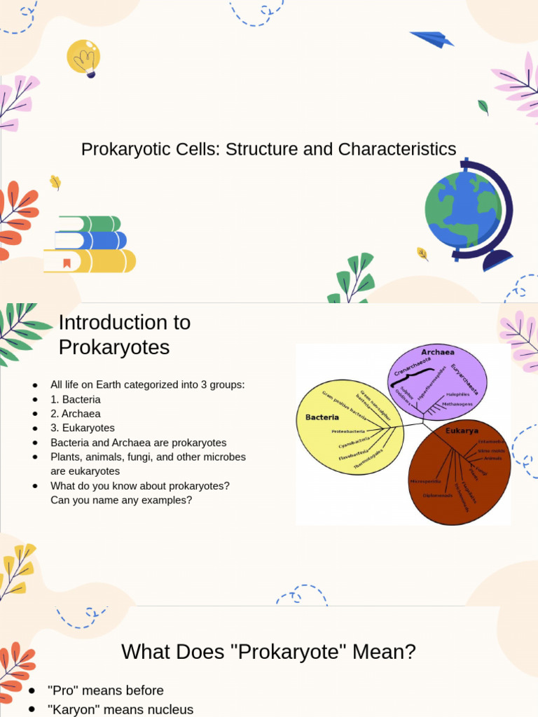 Prokaryotes | PDF