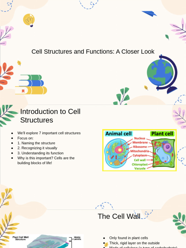Cell Structure | PDF