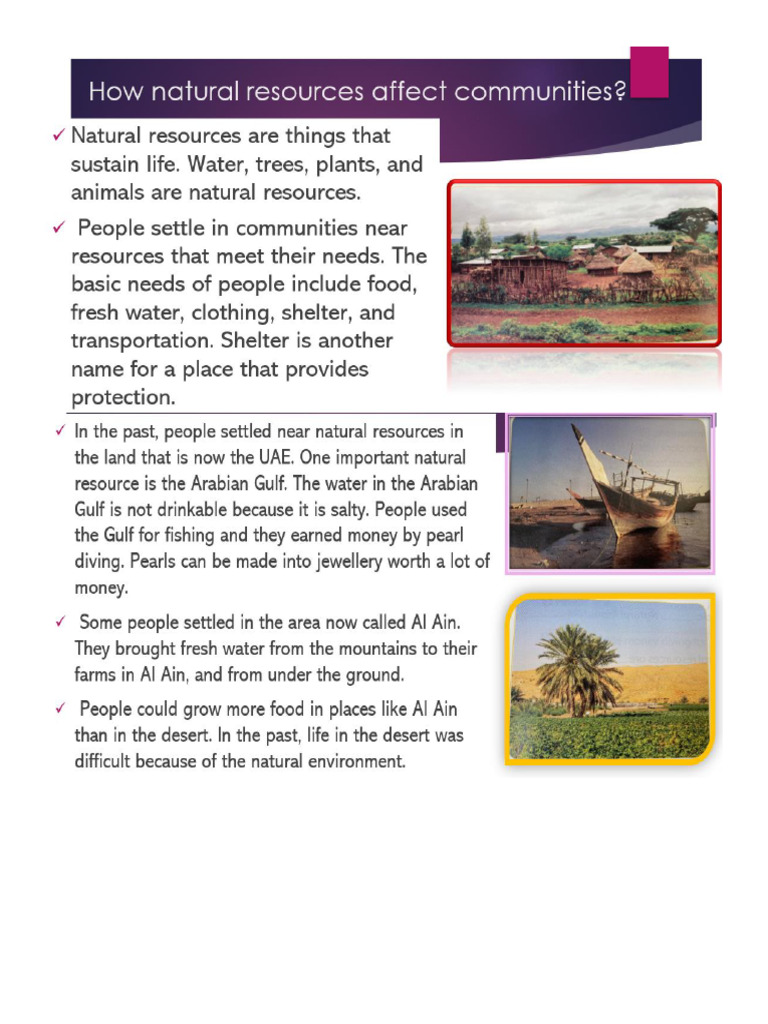 Y4 T1 W7 UAE Social Studies Natural Resources - QR Code | PDF