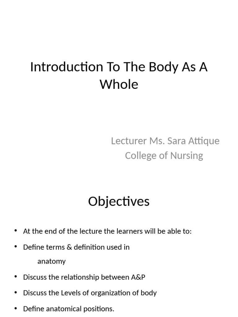 Introduction To The Body As A Whole | PDF