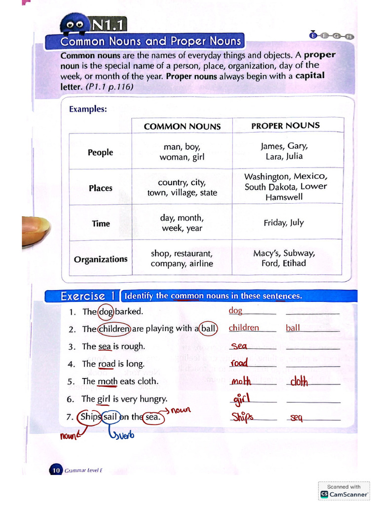 Grammar Unit 1 (Asser) | PDF