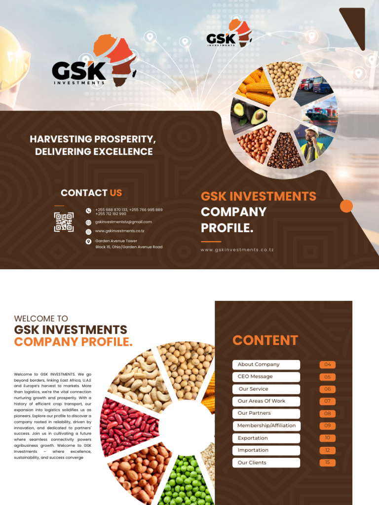 GSK Investments Company Profile | PDF | Tanzania | Cargo