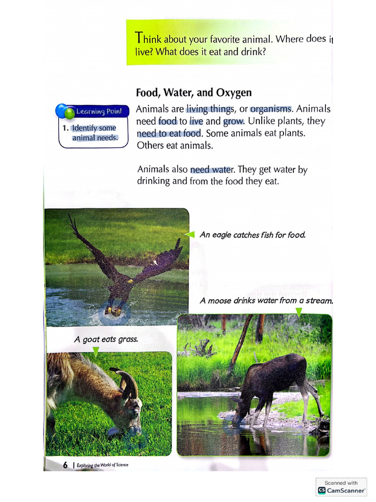 Science Chapter 1 Asser Pdf