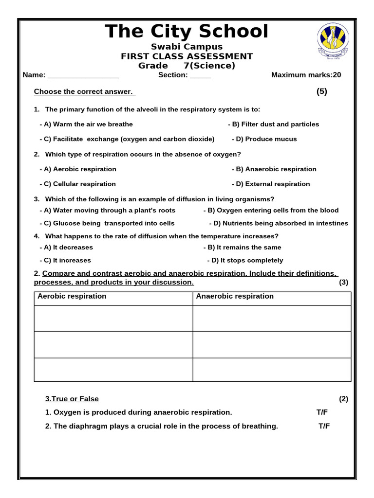 Grade 7 Quiz | PDF