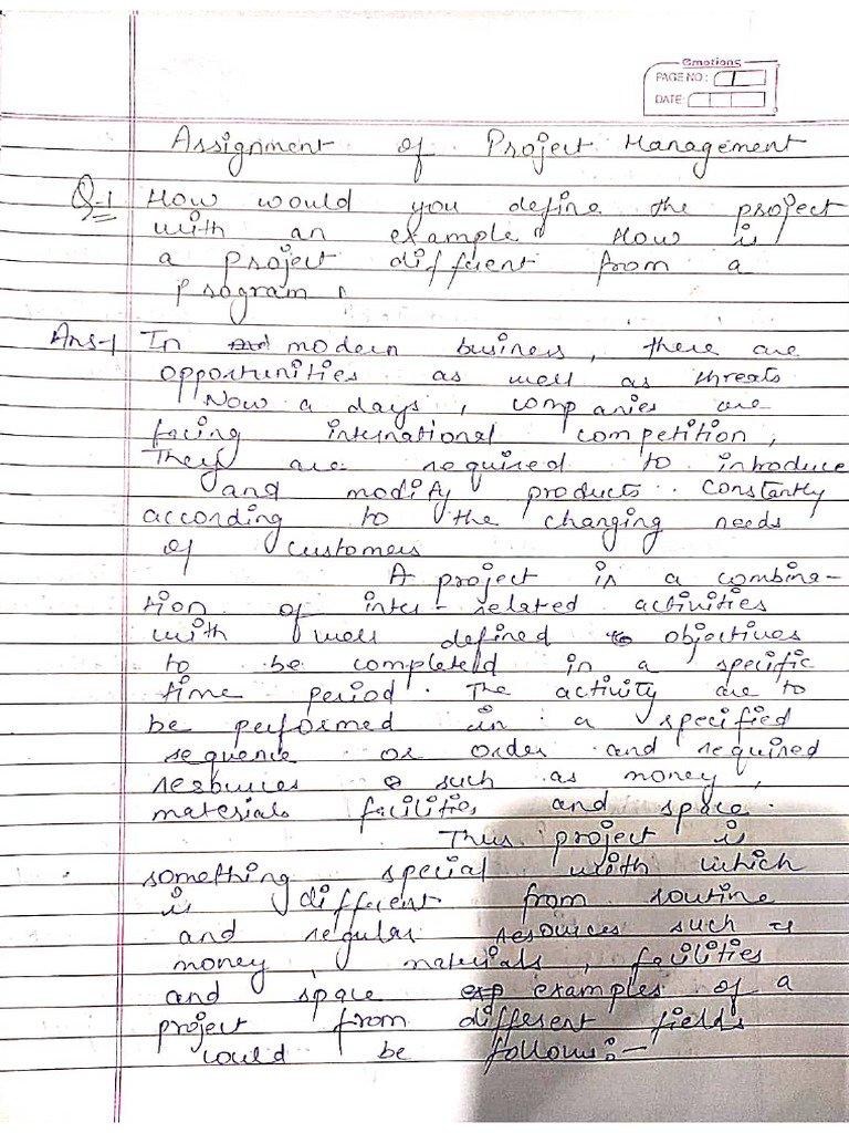 Project Management Assignment | PDF