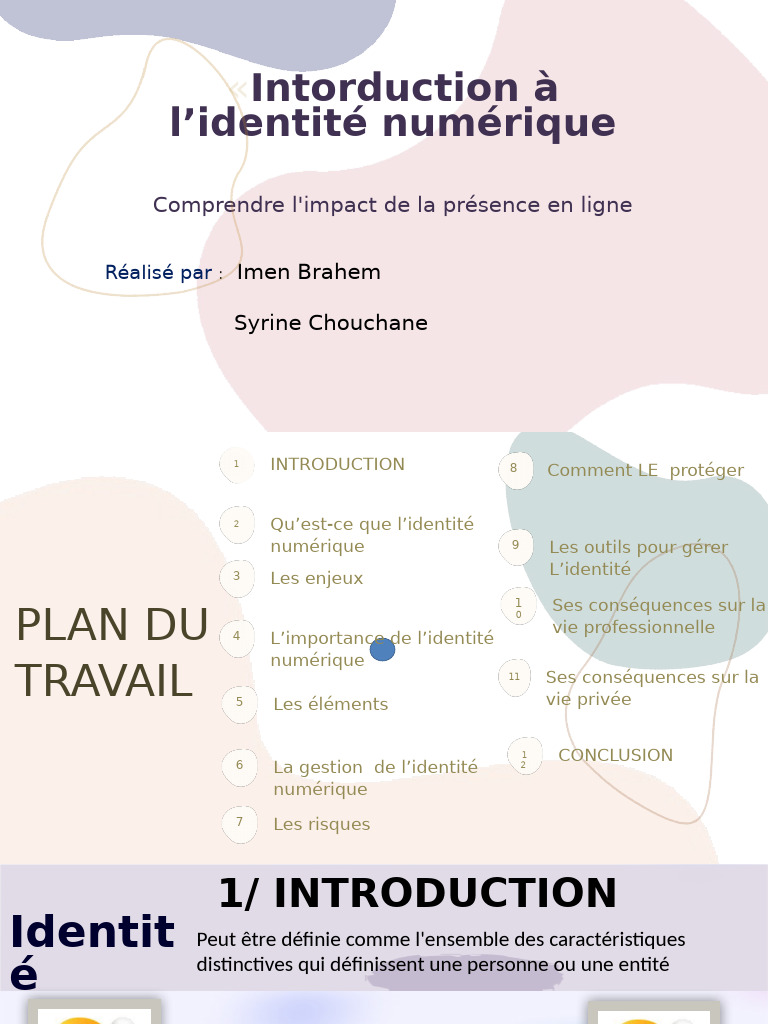 Identite Numérique | PDF