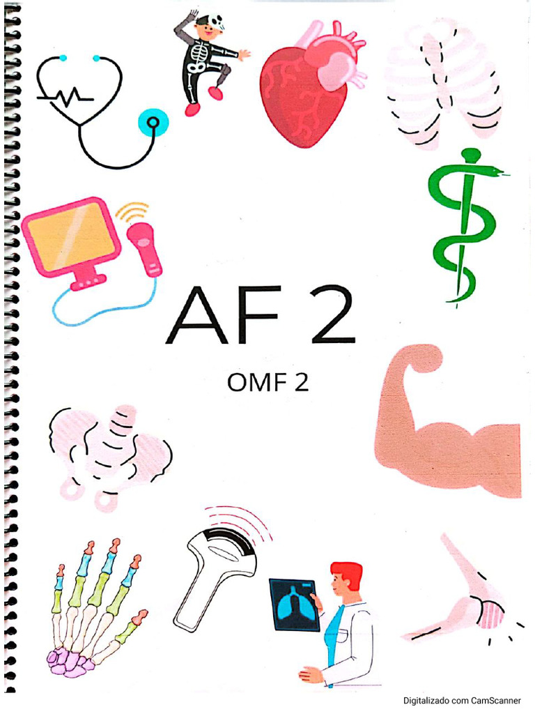 Omf - Avf 2 | PDF