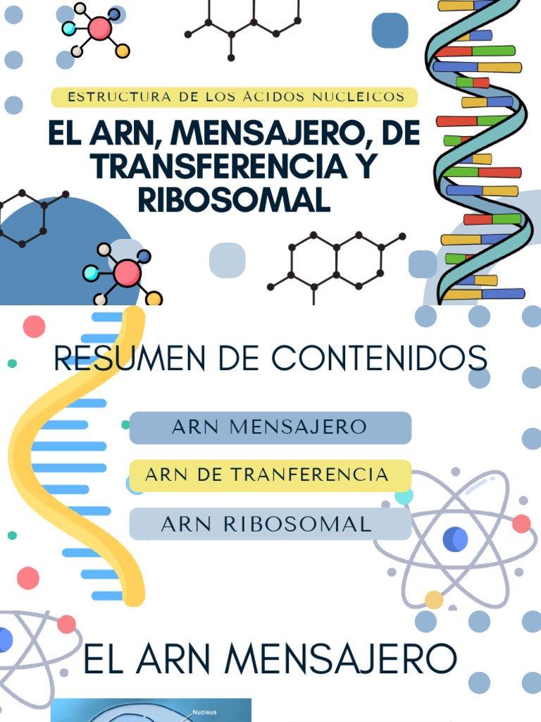 Estructura de Los Ácidos Nucleicos: El Arn, Mensajero, de Transferencia ...