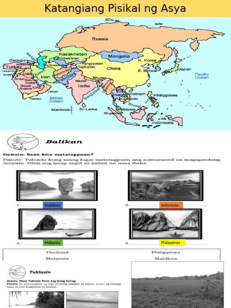 Ap-First Quarter | PDF