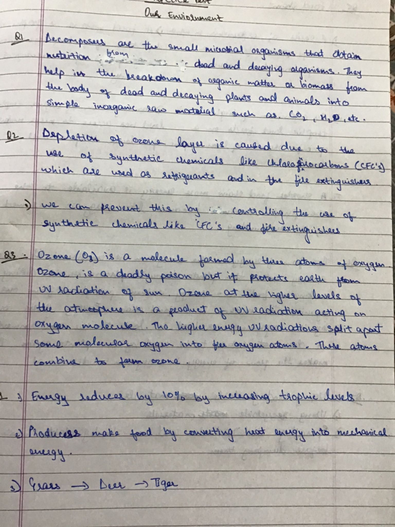 Revision Assignment-1 | PDF