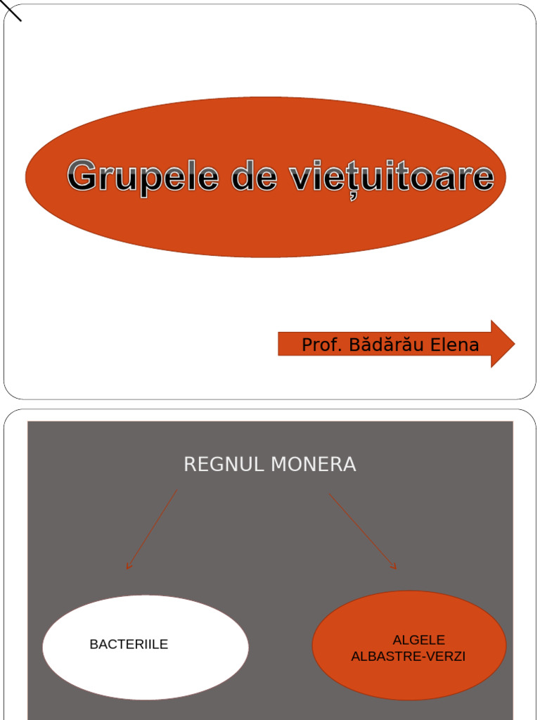 Bacteriile PPT 1 | PDF