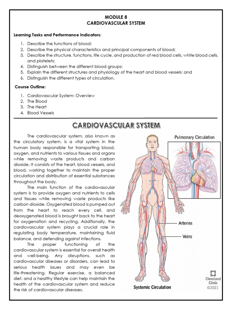 CARDIOVASCULAR SYSTEM | PDF