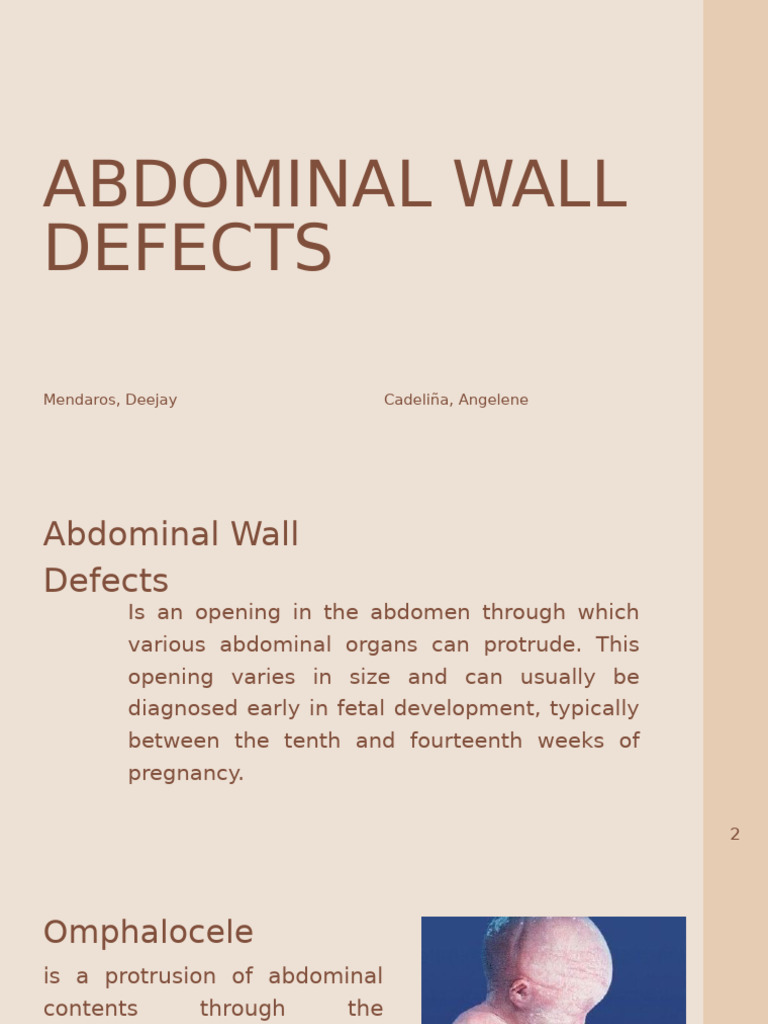 Abdominal Wall Defects | PDF