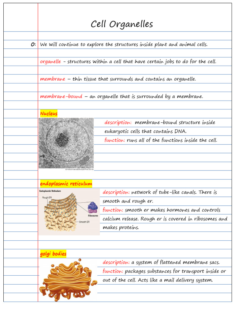 Biology Drawings and Diagrams | PDF