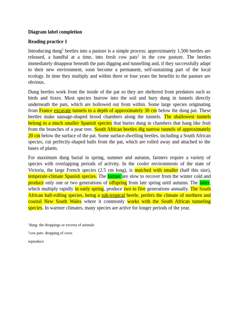 Diagram Label Completion | PDF