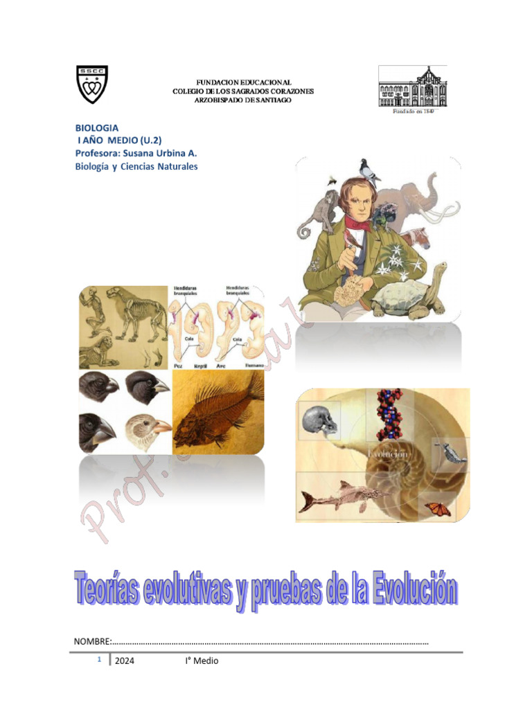 Guía 4 Evolución y Biodiversidad | PDF | Evolución | Especies