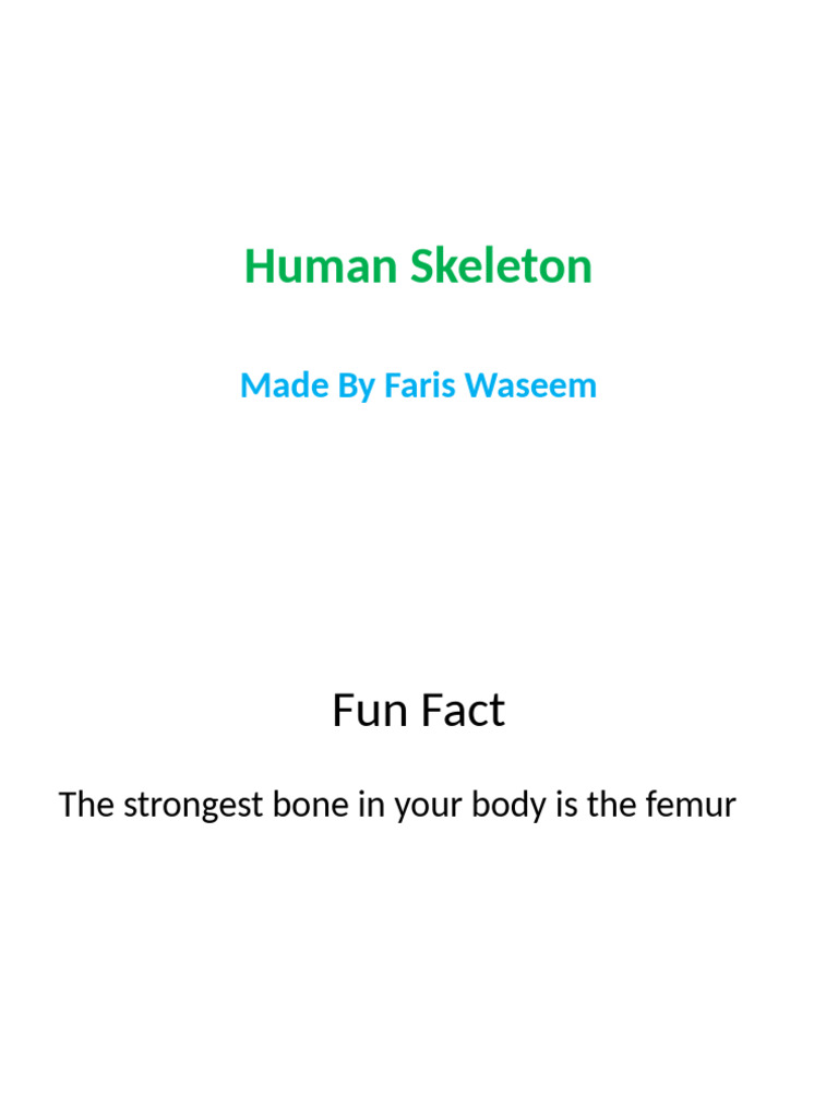 Human Skeleton | PDF