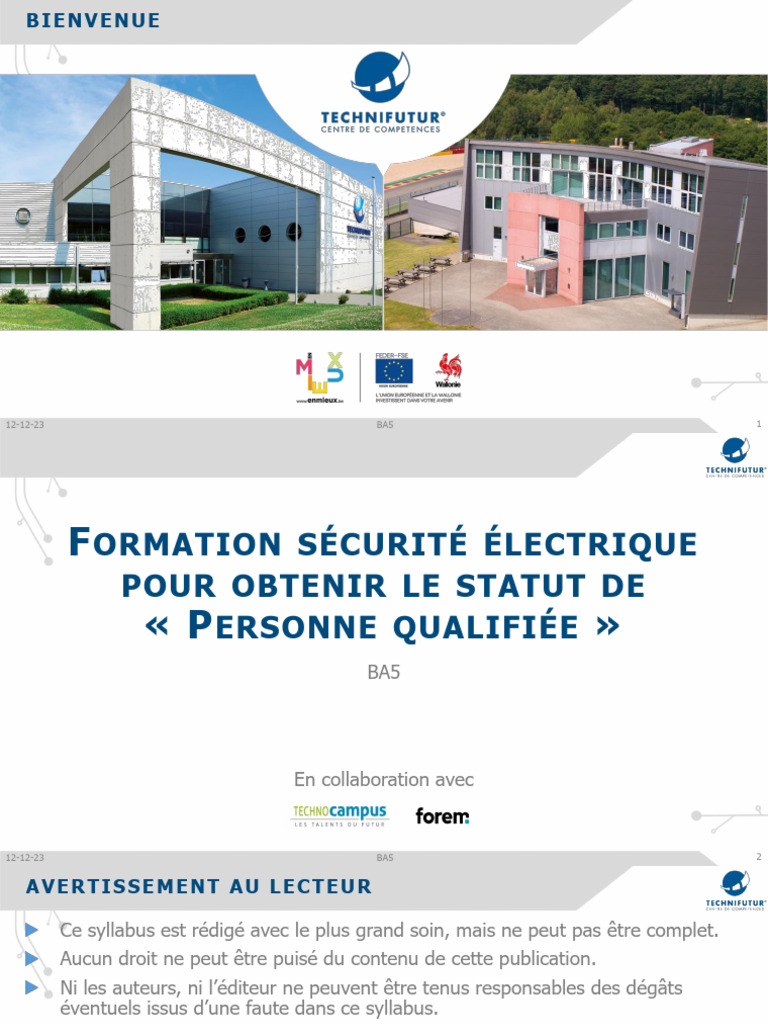 MECA ELEC 1048 - BA5 - Formation Sécurité Électrique (1 Dia) | PDF