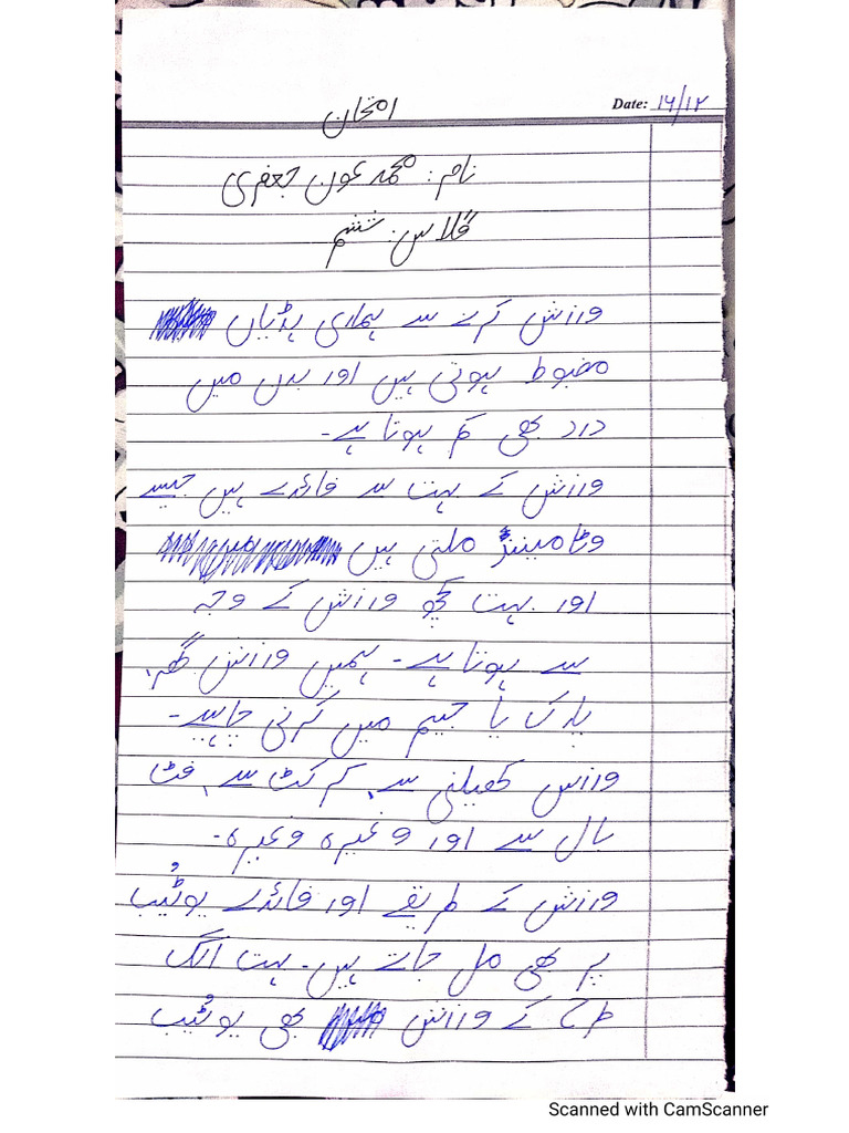 Muhammad Aoun Jaffri, Paper 2 | PDF