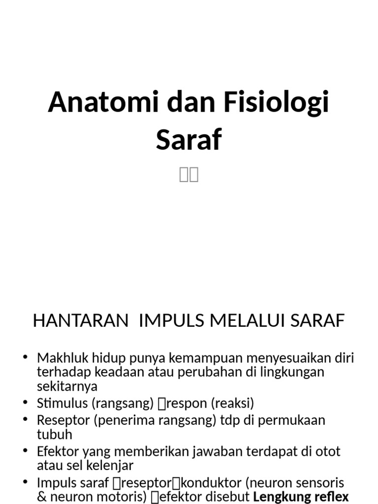 Anatomi Syaraf | PDF