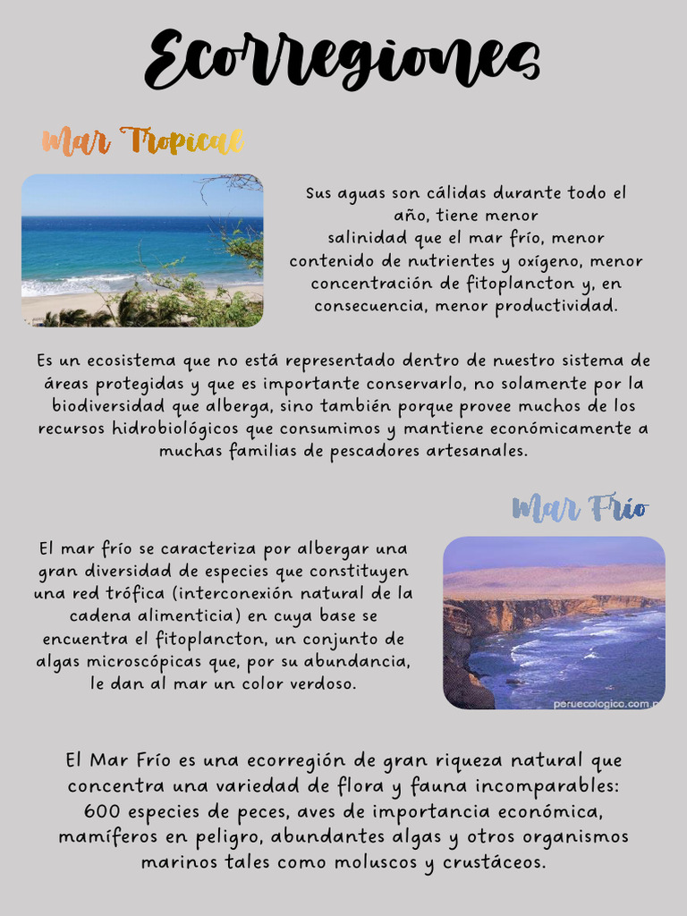 El Mar | PDF