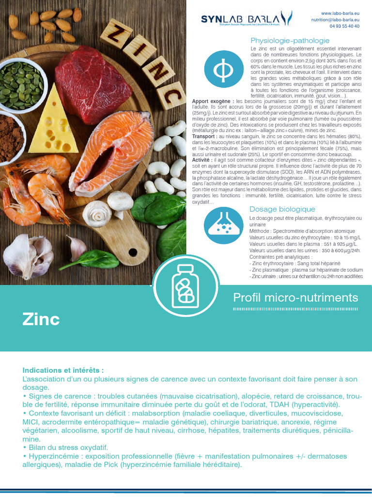 fiche-zinc | PDF