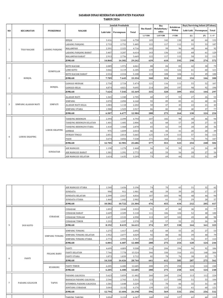 Data Sasaran 2024 | PDF