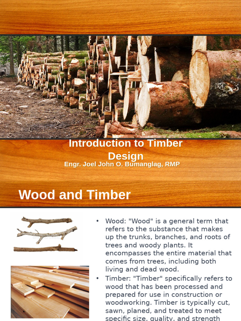Introduction to Timber Design | PDF