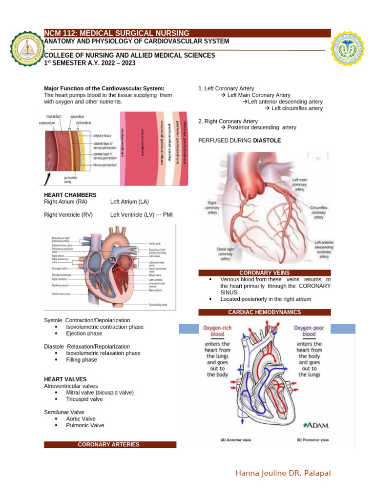 Trans Cardio . | PDF
