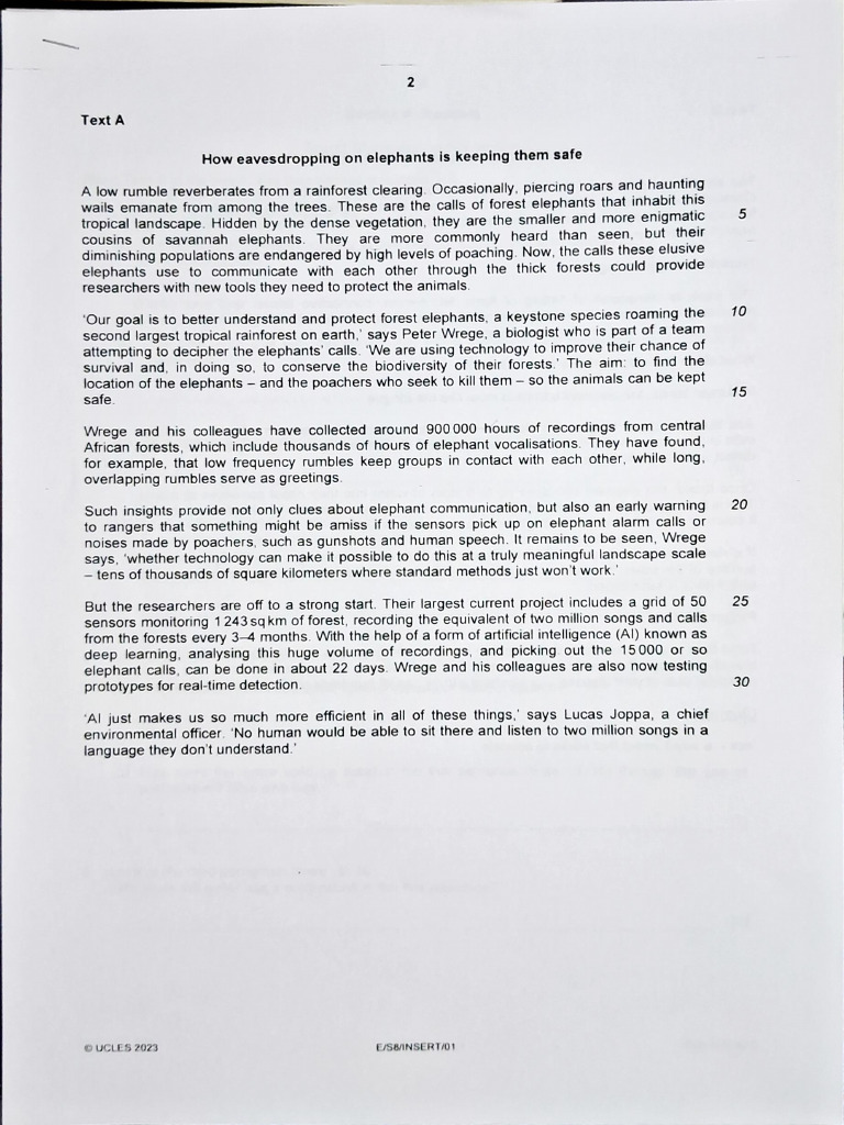 English practice paper of Term 1 | PDF