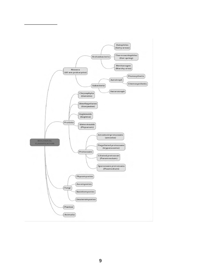 Chapter 2 Biological Classification Pdf