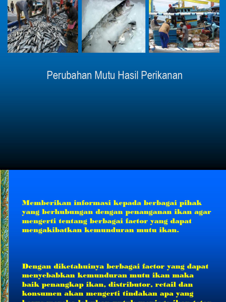 Dastek P3 | PDF